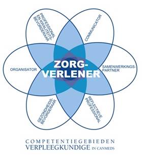 Verpleegkundig redeneren